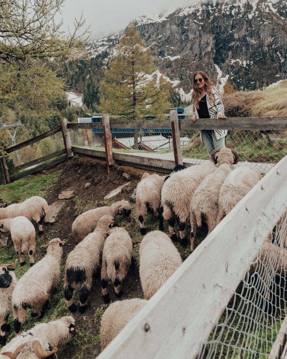 14 Things to Do in Zermatt, Switzerland • ADARAS Blogazine